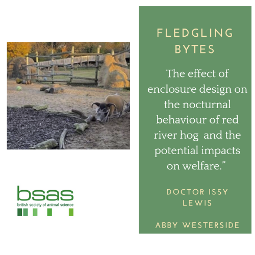 The effect of enclosure design on the nocturnal behaviour of red river hog